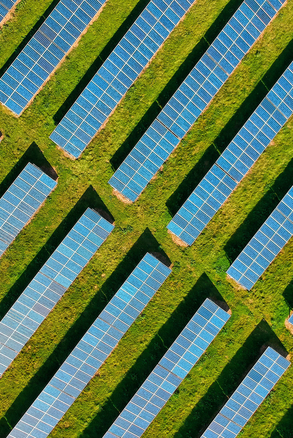 Home - Renewable Guard